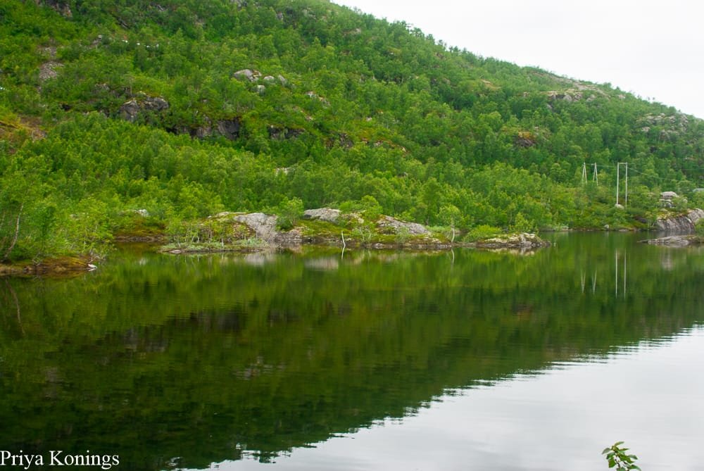 Exploring Norway: Oslo and The Fjords ⋆ The Dining Traveler