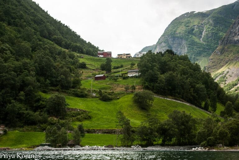 Exploring Norway: Oslo and The Fjords ⋆ The Dining Traveler